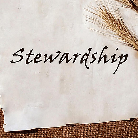 Stewardship – Part 2: Money and Possessions - Every Nation GTA | Church ...